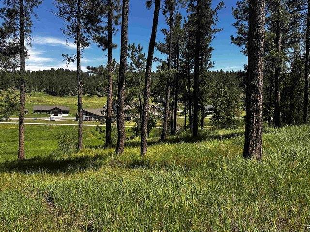 Blk 7 Lot Tbd Lakewood Ct Lot 8, Hill City, SD 57745