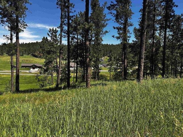 Blk 7 Lot Tbd Lakewood Ct Lot 9, Hill City, SD 57745