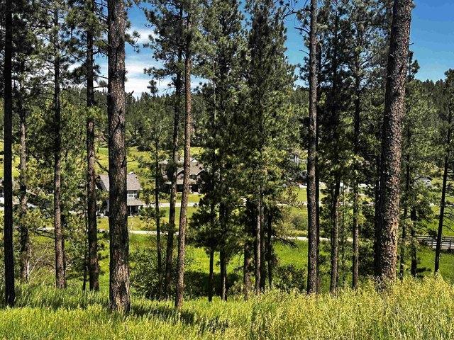 Blk 7 Lot Tbd Lakewood Ct Lot 10, Hill City, SD 57745