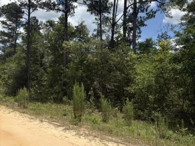 Blk 75 Lot 3, Tiger Avenue Unit Marianna, FL 32448