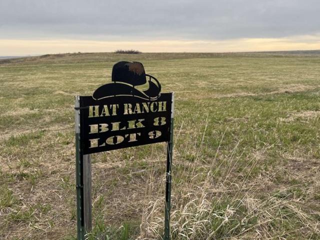 Blk 8 Lot 9, Double Tree Circle Belle Fourche, SD 57717