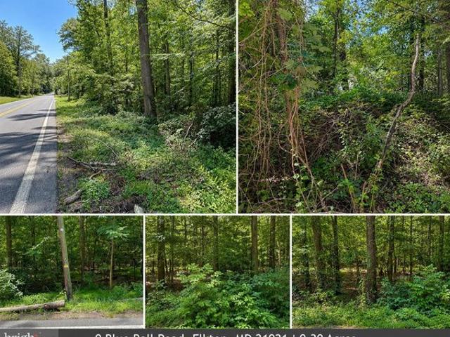 Blue Ball Rd, Elkton, MD 21921