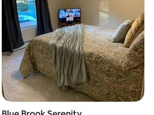 Blue Brook Serenity