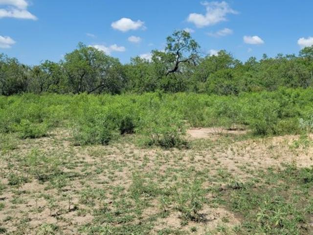 Blue Creek Rd Lot,la Vernia, Plot For Sale