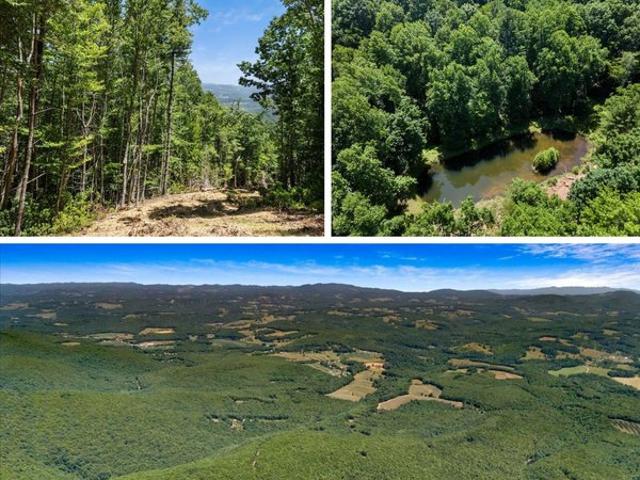 Blue Deer Run NW, Floyd, VA 24091