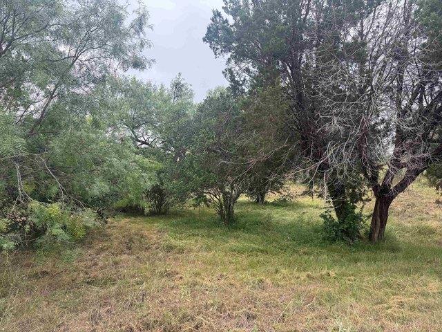 Blue Fox Lot W35066, Horseshoe Bay, TX 78657