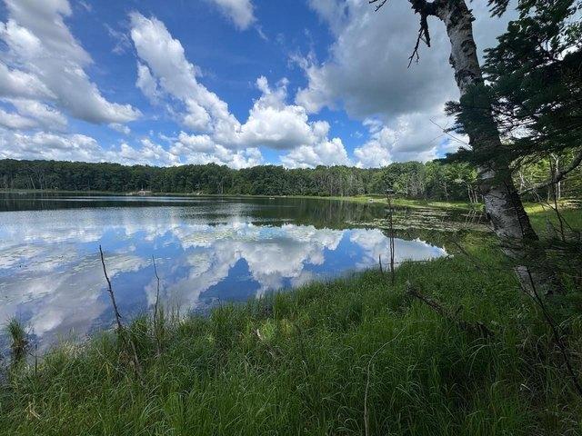 Blue Heron Ln, Athelstane, WI 54104
