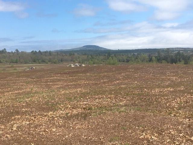 Blue Hill ME 04614 104607890