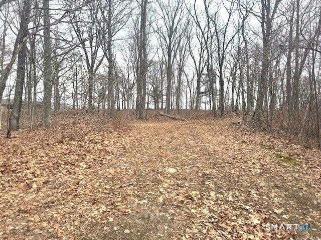 Blue Hill Rd, Bozrah, Plot For Sale