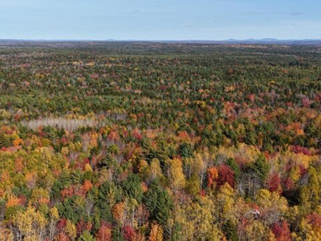 Blue Hl, Blue Hill, Plot For Sale