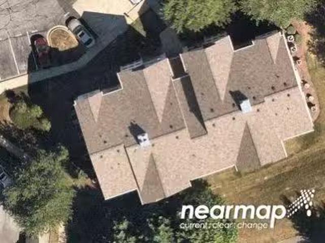 Blue Leaf Ct