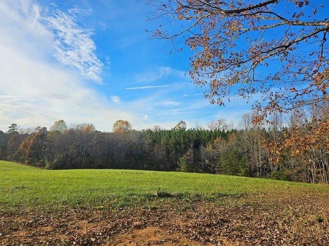 Blue Ridge Dr, Hurt, VA 24563
