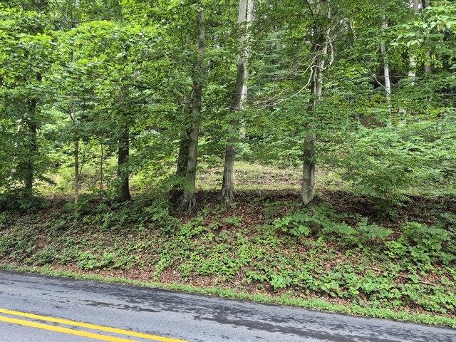 Blue Ridge Lot Walker Rd Lot 1, Glasgow, VA 24555