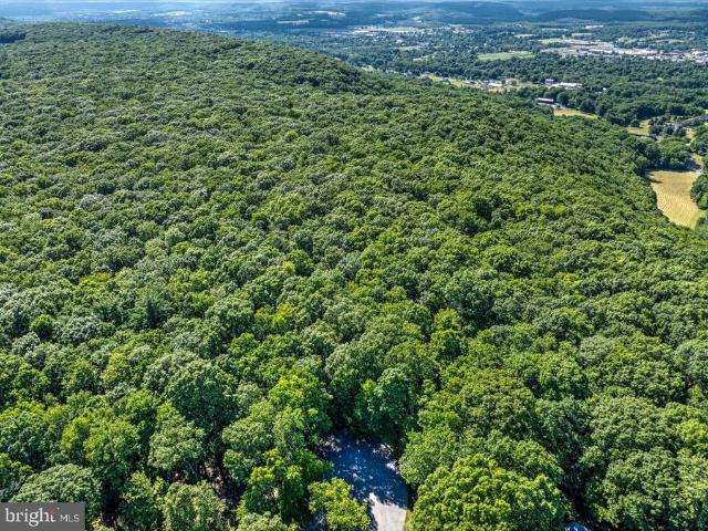Blue Ridge Road
