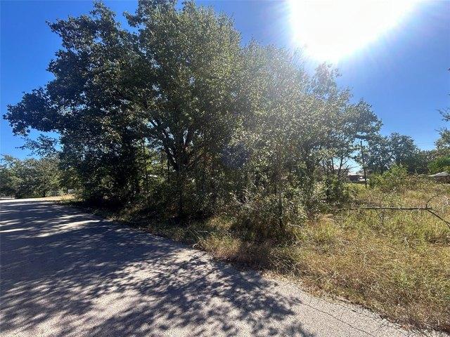 Bluebonnet Dr, Gun Barrel City, TX 75156