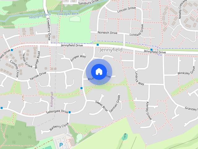 Bluebell Meadow, Harrogate, HG3