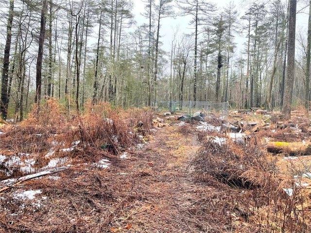 Blueberry Hill Rd, West Shokan, NY 12461
