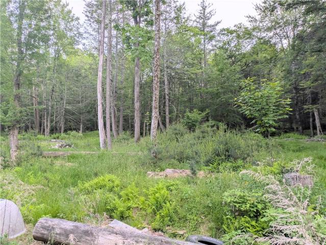 Blueberry Hill Road