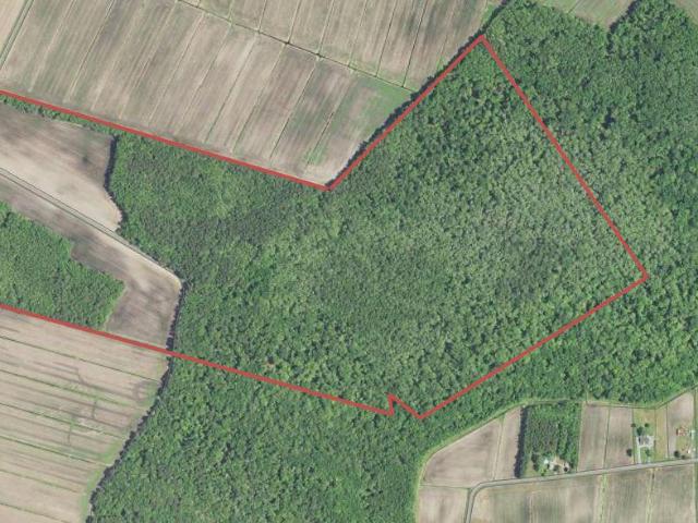 Blueberry Rd, Whaleyville, MD 21872 | MLS #MDWO2036