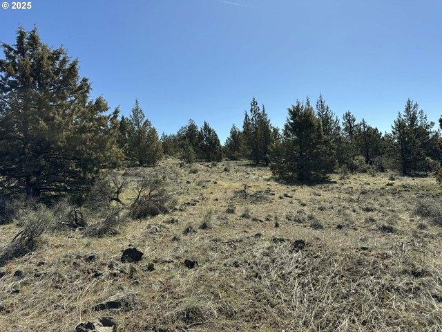 Bluebill Ln Lot 3, Bonanza, OR 97623