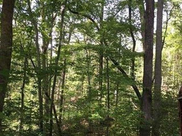 Bluebird Ter Lot 25, Lake Lure, NC 28746