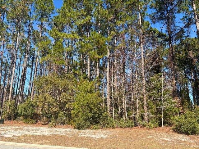 Bluebird Ct, Saint Marys, GA 31558