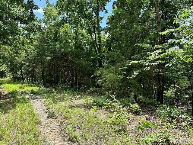 Bluebird Ln, Rolla, MO 65401