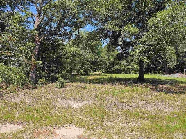 Bluebird St, Milton, FL 32583