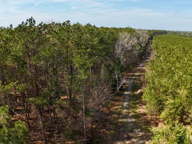 Bluefoot Rd, Cofield, NC 27922
