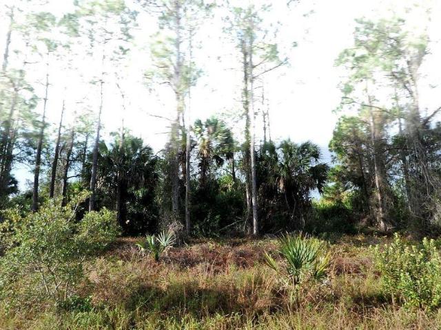 Blueleaf Dr Port, North Port, FL 34288 | MLS #O6189 | Compass