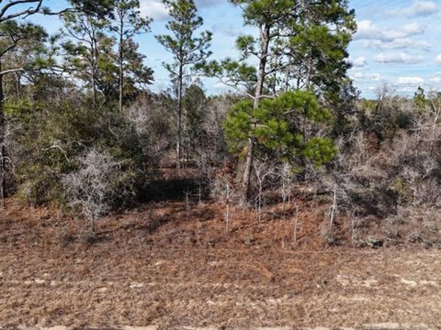 Bluestone Dr, Chipley, FL 32428