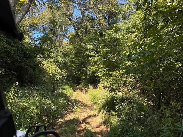 Blueridge Mountain, Upperville, VA 20184 | MLS #VALO2105