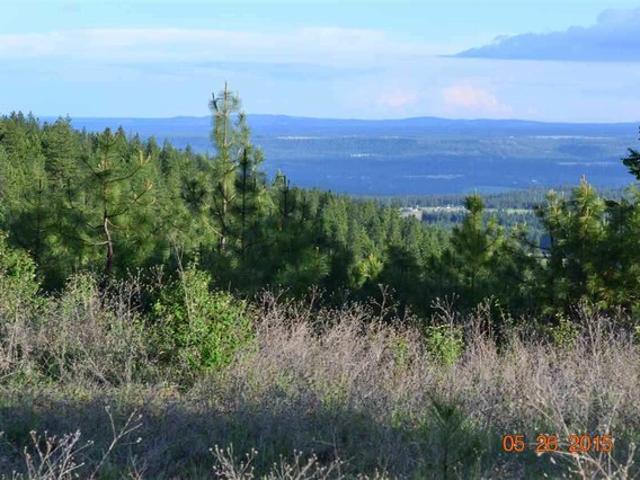 Nna Blue Ridge Way, Deer Park, WA 99006