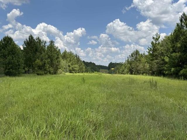 Bluett Tanner Rd, Wilmer, AL 36587