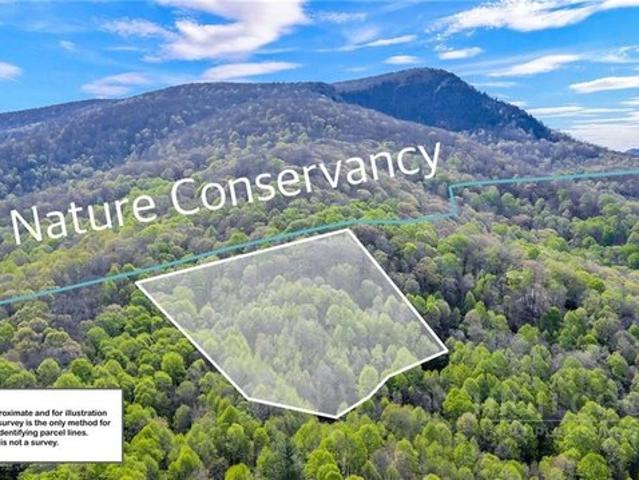 Bluff Canyon Dr, West Jefferson, NC 28694