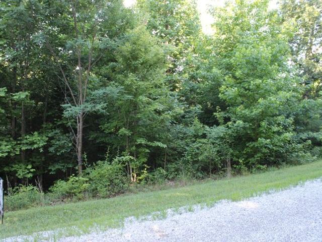 Bluff Line, McMinnville, TN 37110