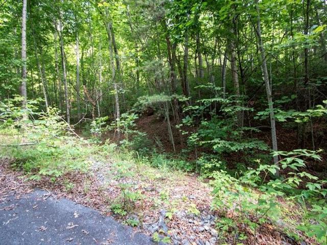 Bluff Rd, Marble, NC 28905