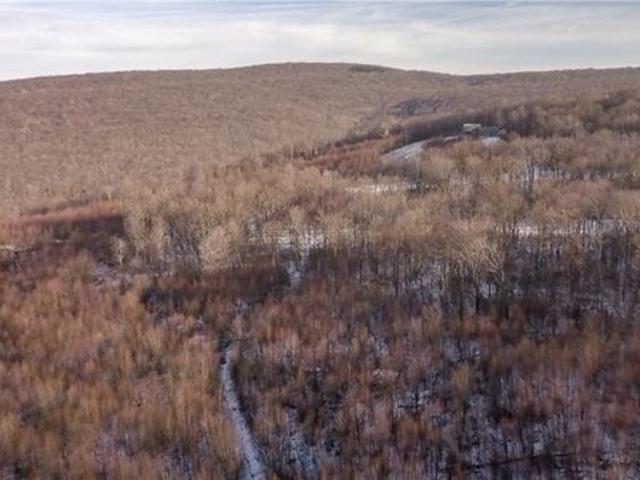 Bluffs Trl Lot 4, Donegal, PA 15628