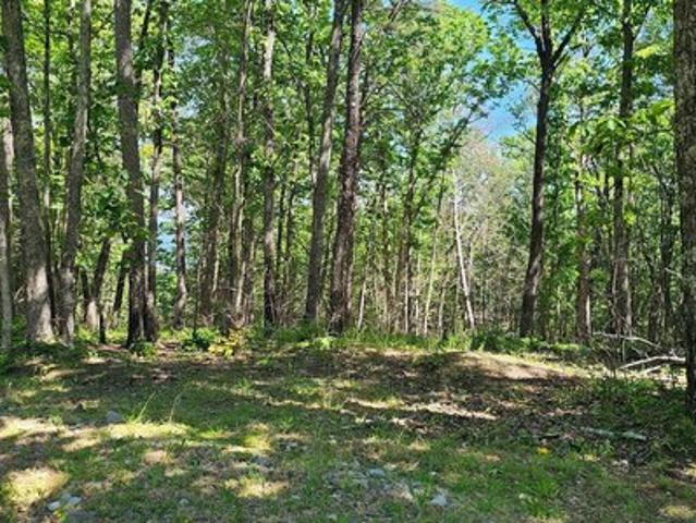 Bluffview Dr, Dunlap, TN 37327
