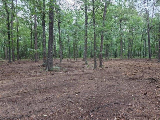 Blume Rd Lot 9, Alto, TX 75925