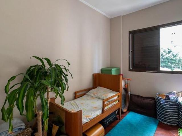 BPG 443 Apto theremaxcollection 78Z5W