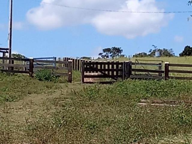 BR 040 FAZENDA 91HA TODA PRONTA!