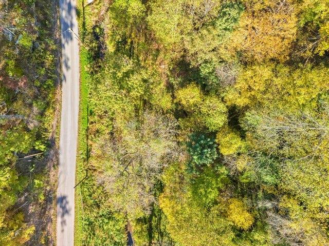 Brown Bear Hollow Rd, Northfork, WV 24868