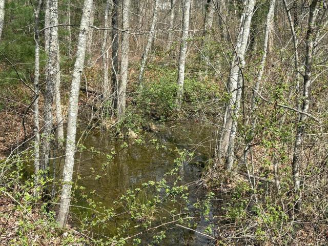 Brown Creek Drive, Crossville, TN 38571
