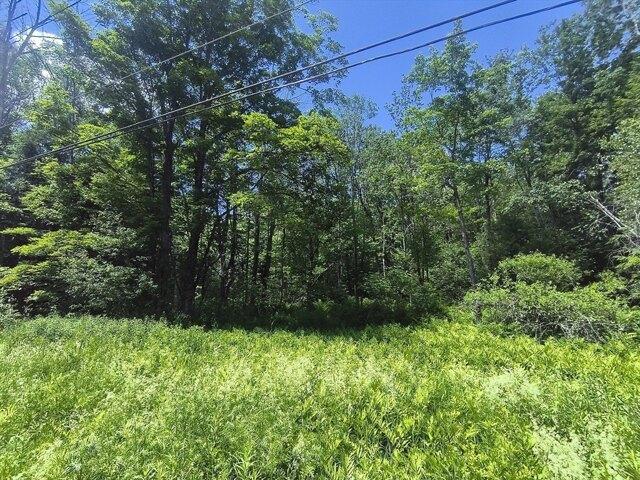 Brown Hill Rd, Worthington, Plot For Sale
