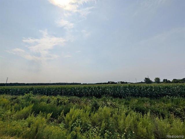 Brown Rd, Greenwood Township, MI 48006