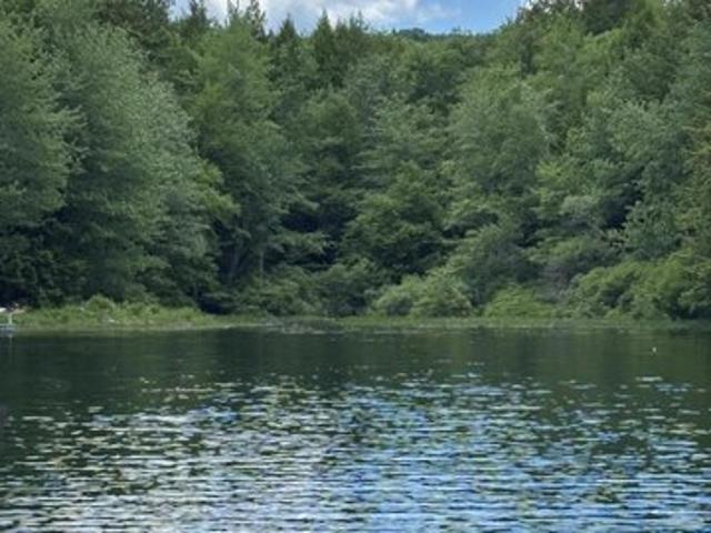 Brown Rd, Liberty, ME 04949