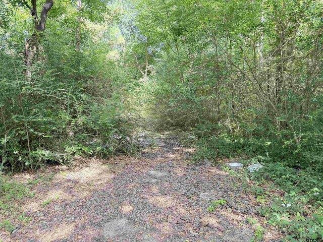 Brown St, Kilgore, TX 75662