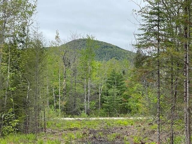 Brownfield ME 04010 104720206