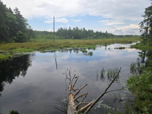 Brownfield Rd Lots 14 & 141, Conway, NH 03813